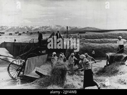 Harvesting crops on collective farm fields Stock Photo - Alamy