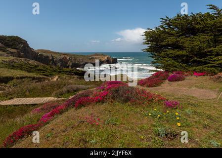 Shoreline of Stewarts Point, an unincorporated community in Sonoma ...