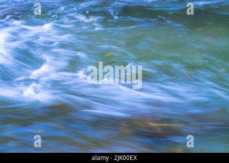 Autumn color foliage lines Tobins Track walk along Arrow River ...