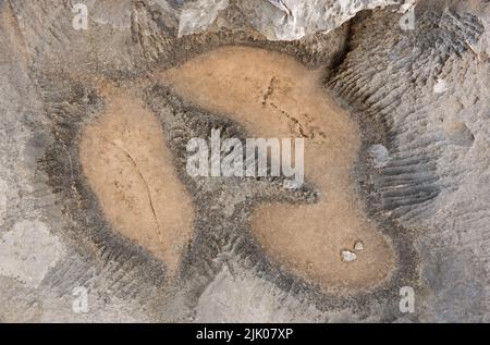 Karst features in limestone, caused by dissolution of calcium carbonate ...