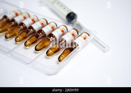 A closeup of cacti in pots against the windows. Botanical Garden of ...