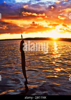 Fishing at sunset. Catching predatory fish on spinning. Sunset colors ...