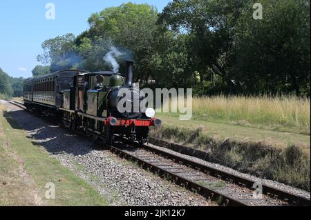 Terrier locomotives Poplar and Newport on the Bluebell railway on 29 ...