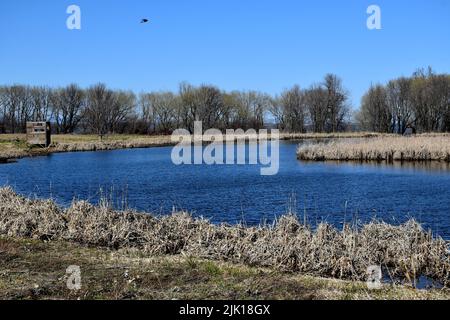 The marsh park in spring, Montmagny, Quebec, Canada Stock Photo - Alamy