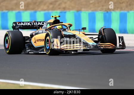 McLaren driver Lando Norris ahead of the Abu Dhabi Grand Prix at the ...