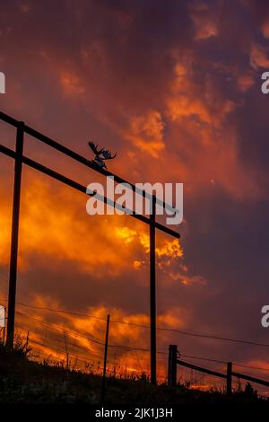 Western Ranch Archway Entry Stock Photo - Alamy