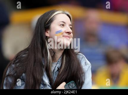 A fan of England with painted face looks on prior to the FIFA World Cup ...