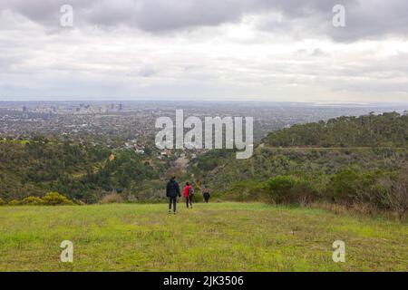 Amazing view of the city of Adelaide from Long Ridge Lookout Point in ...