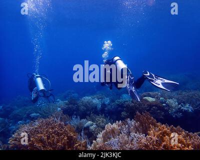 Indonesia Sumbawa - Scuba Diving Stock Photo - Alamy