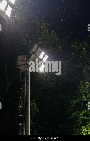 Swarm of insects and mosquitoes around the lamp of an electric ...
