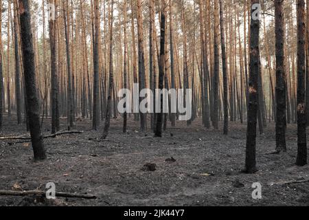 Arzberg, Germany. 30th July, 2022. Michael Kretschmer (CDU, r ...
