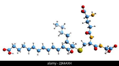 3D image of Leukotriene C4 skeletal formula - molecular chemical ...