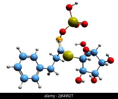 3D image of Sinigrin skeletal formula - molecular chemical structure of ...