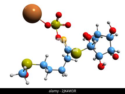 3D image of Sulforaphane skeletal formula - molecular chemical ...