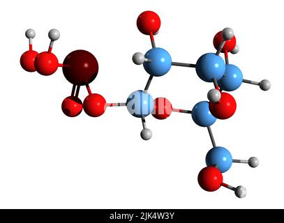3D image of Glucose 6-phosphate skeletal formula - molecular chemical ...