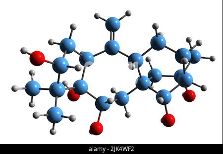 3D image of Grayanotoxin I skeletal formula - molecular chemical ...