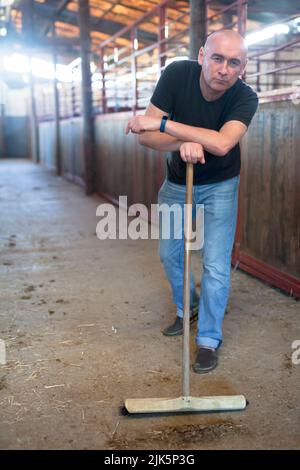 Mature farmer cleaning cattle barn from used straw and dung Stock Photo ...