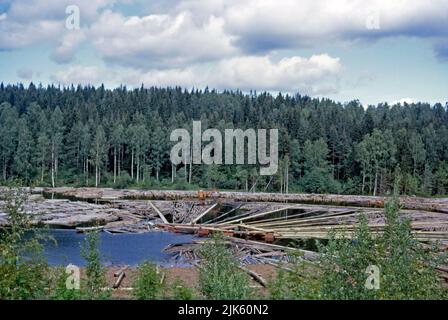 The lumber industry in Norway in 1970. Cut-down logs float ready for ...