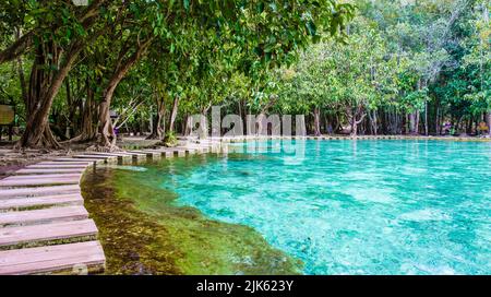 Emerald lake and Blue pool Krabi Thailand mangrove forest Krabi ...