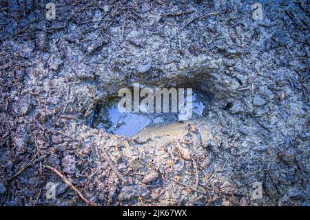 footprint, trace in mud, water, wet, tall rain boots. (CTK Photo/Libor ...