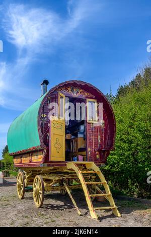 Traditional Romany bow-top Gypsy wagons or Vardos, pause on their ...