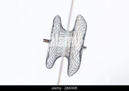 Atrial Septal Defekt. Devices for invasive cardiology procedures ...