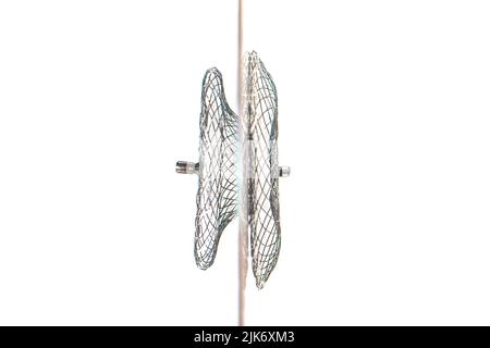 Atrial Septal Defekt. Devices for invasive cardiology procedures ...