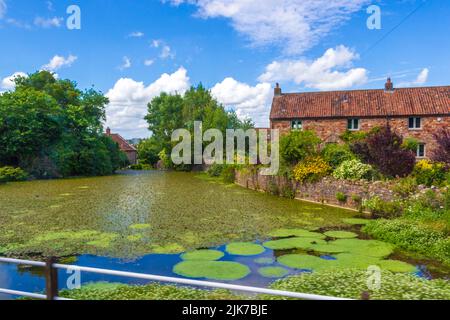 Compton Martin is a small village and civil parish within the Chew ...