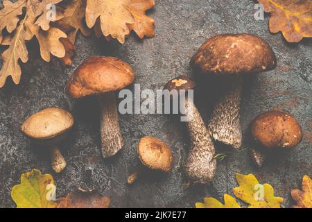 Boletus mushrooms over dark stone background. Top view autumn ...