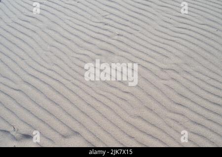Vila Do Bispo, Portugal. 21st July, 2022. Footprints are drawn in the ...