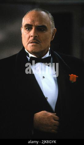 The Freshman 1990 Film