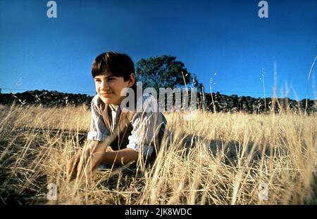 HAMMERS OVER THE ANVIL Stock Photo - Alamy