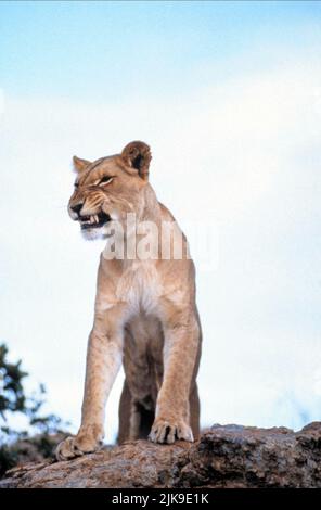 Lioness Film Born Free: A New Adventure (TV- Film) Usa 1996, Director ...