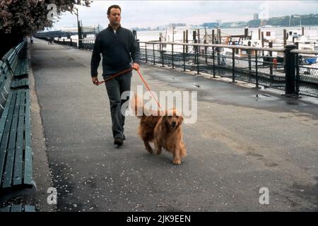 Tom Hanks & Dog Film You'Ve Got Mail (USA 1998) Characters: Joe Fox & Director: Nora Ephron 18 ...