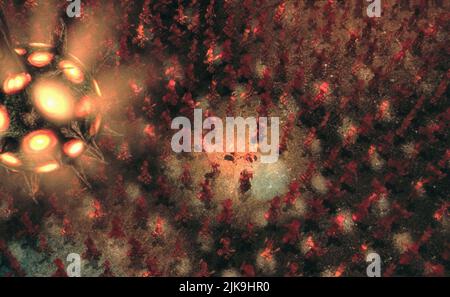 General Scene Film Antz (1998) Director: Eric Darnell & Tim Johnson 19 ...