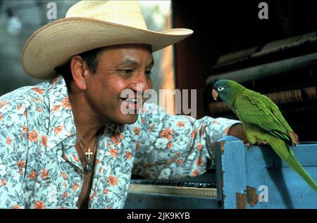 Paulie Film Paulie (1998) Director: John Roberts 17 April 1998 ...