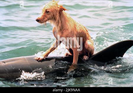 ZEUS AND ROXANNE 1997 MGM film with from left Miko Hughes, Jessica ...