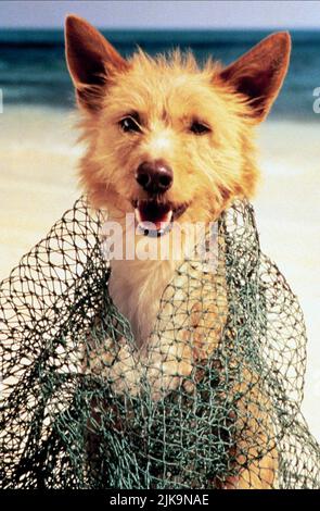 ZEUS AND ROXANNE 1997 MGM film with from left Miko Hughes, Jessica ...