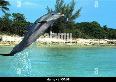 FLIPPER / USA 1996 / Alan Shapiro JESSICA WESSON als Kim, in 'Flipper ...