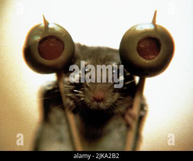 MOUSE, MOUSEHUNT, 1997 Stock Photo - Alamy