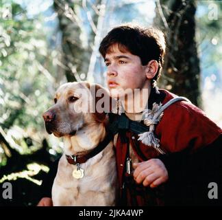 Far from Home: The Adventures of Yellow Dog, aka: Gefährliche Wildnis ...