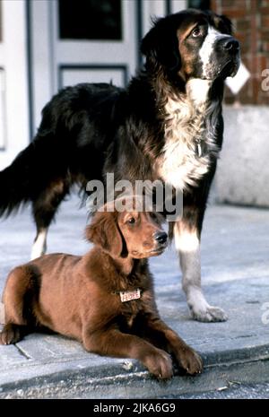 RUMBO,FLUKE, FLUKE, 1995 Stock Photo - Alamy