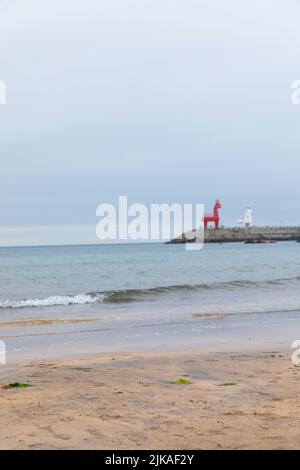 Iho Tewoo beach in Jeju Island of Korea Stock Photo - Alamy