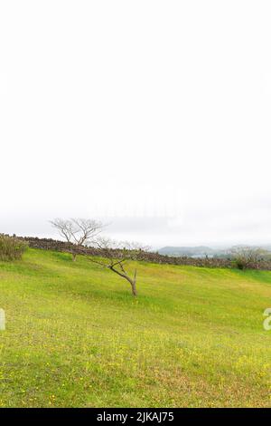 Sangumburi crater scenic landscape in Jeju island, Korea Stock Photo ...
