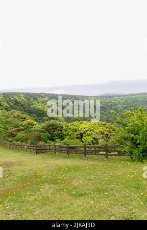 Sangumburi crater scenic landscape in Jeju island, Korea Stock Photo ...