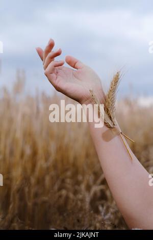 Woman hand with wheat stuck with plaster on arm. National food code of ...