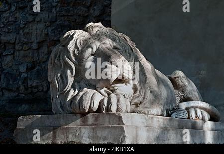 The sleeping lion sculpture in Lviv, Ukraine Stock Photo - Alamy