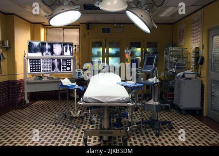 ER (1994), directed by JONATHAN KAPLAN, RICHARD THORPE, LESLIE LINKA ...
