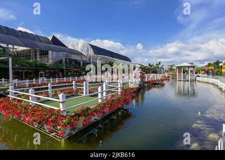 Taman Bunga Celosia Park, Bandungan, Semarang, Indonesia Stock Photo ...