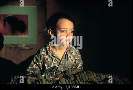 Zachary David Cope Film Stir Of Echoes (1999) Characters: Jake Witzky ...